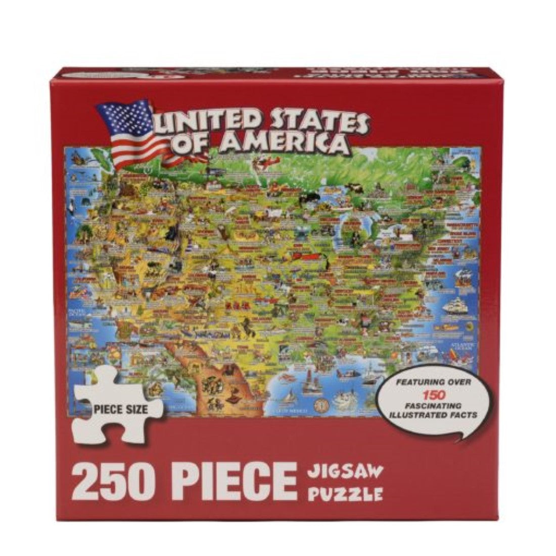 United States 250 Piece Puzzle – MAD MAPS